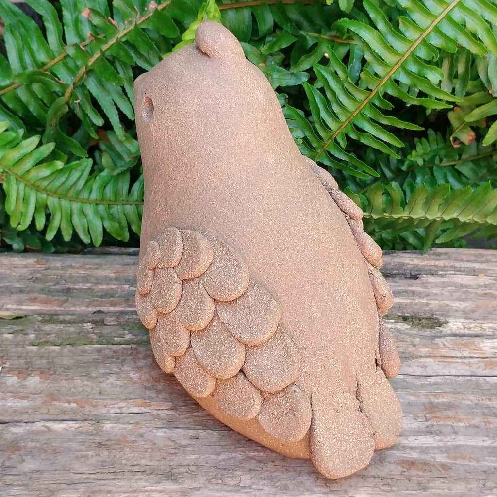 Clay Female California Quail