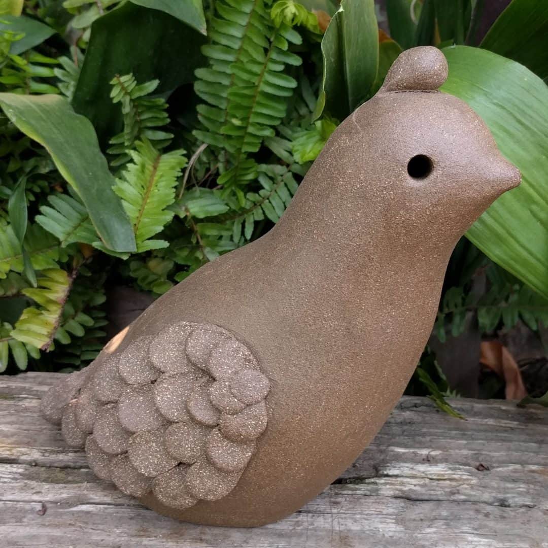 Clay Female California Quail