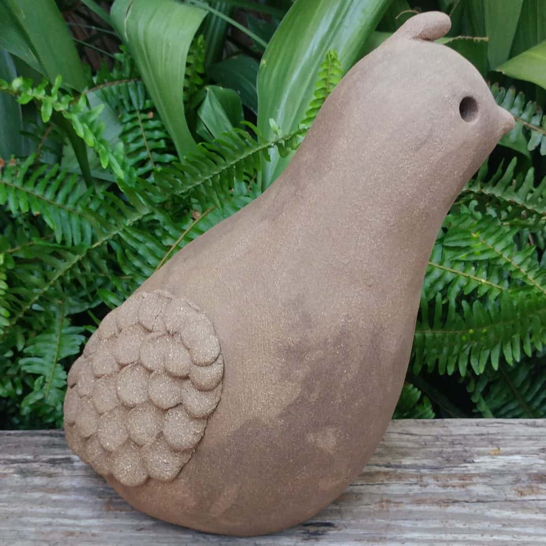 Clay Female California Quail