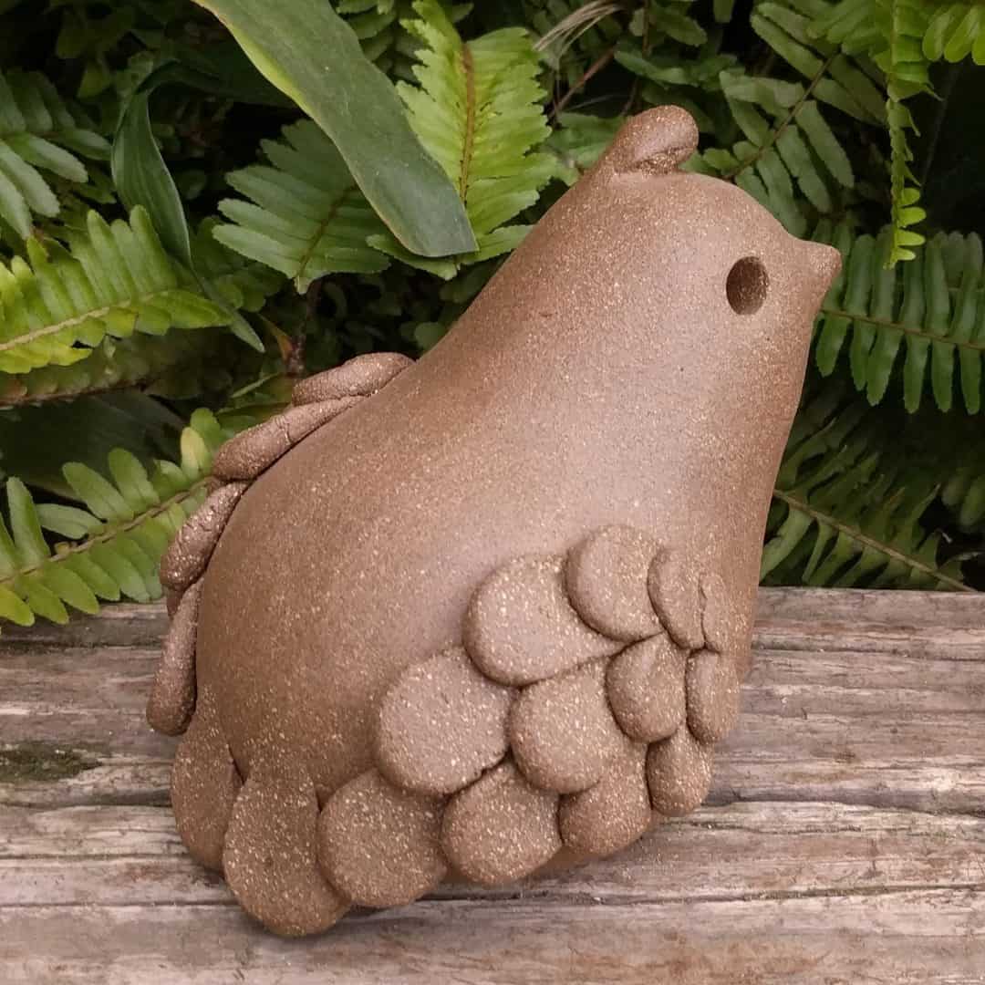 Young Quail