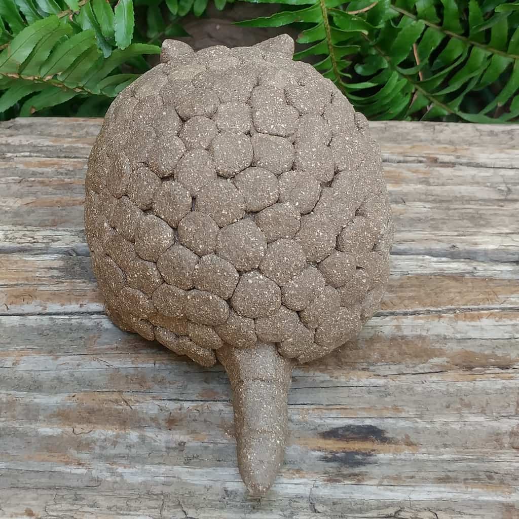 Armadillo | Margaret Hudson's Earth Arts Studio
