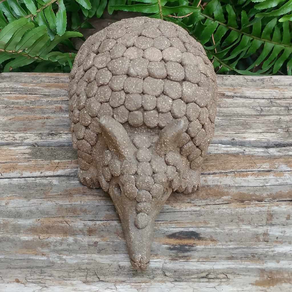 Armadillo | Margaret Hudson's Earth Arts Studio