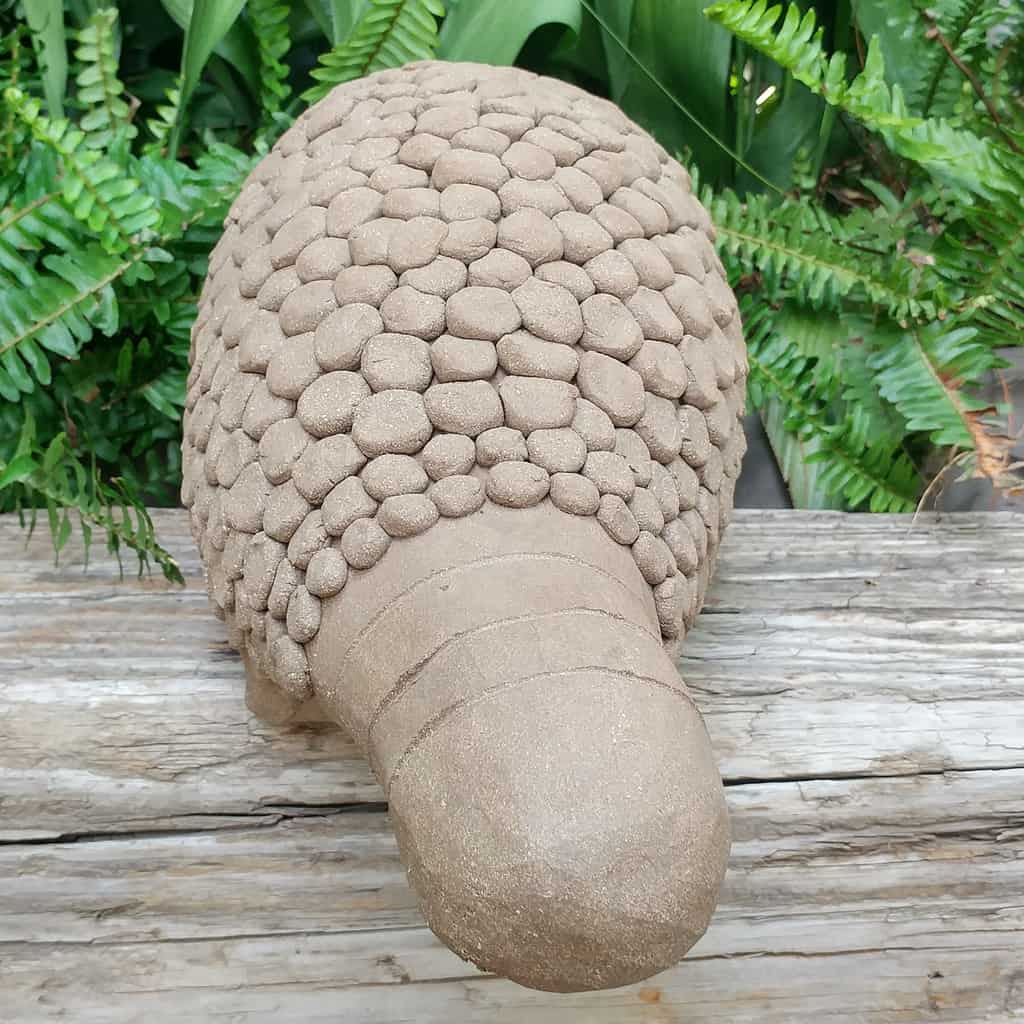 Armadillo | Margaret Hudson's Earth Arts Studio