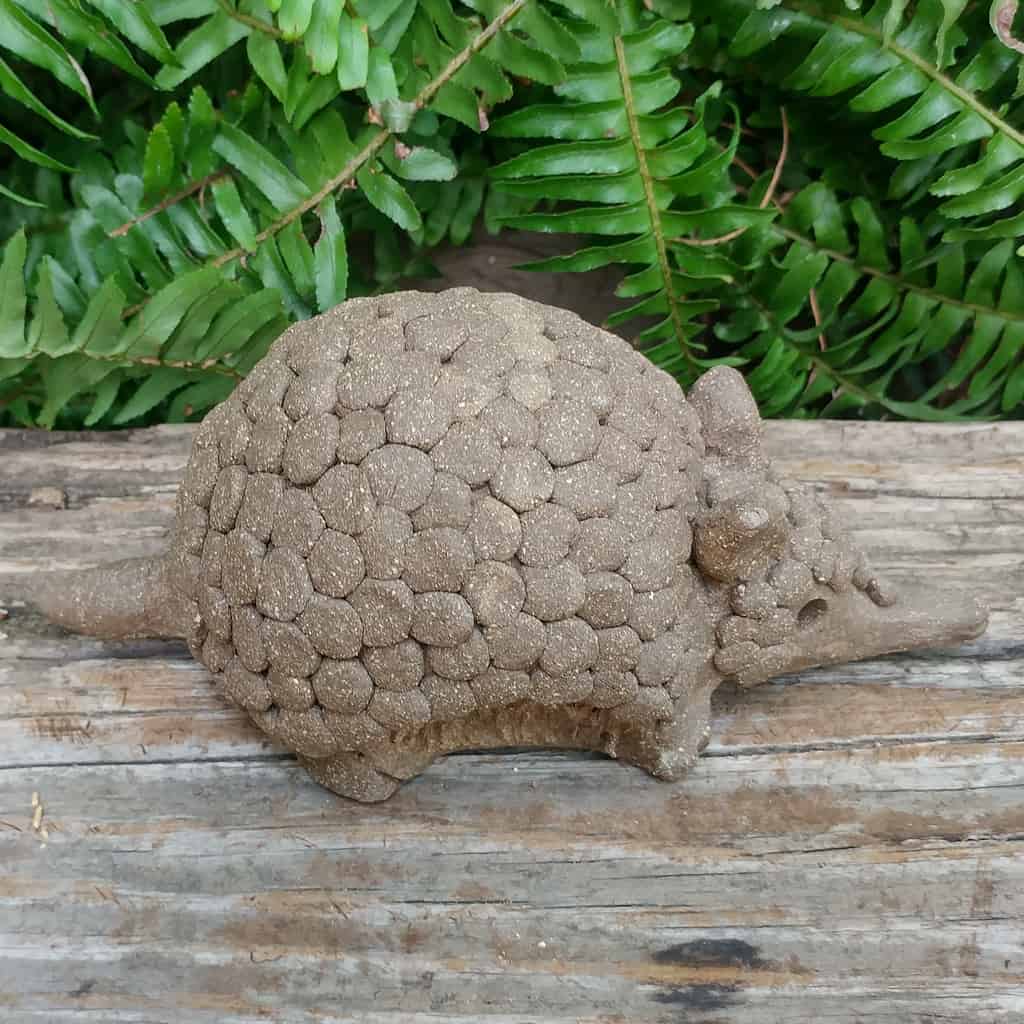 Armadillo | Margaret Hudson's Earth Arts Studio