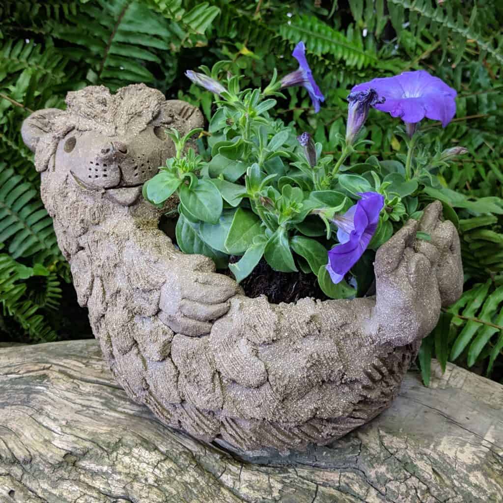 Hedgehog Planter | Margaret Hudson's Earth Arts Studio
